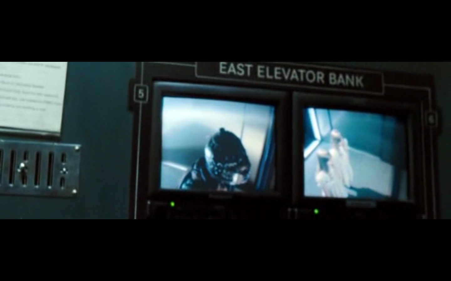 Creature with Patterned Segments of Armor on its Head | The Cabin in ...