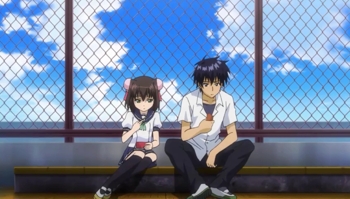 Shizuka Kusanagi/Relationships | Campione! Wiki | Fandom