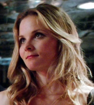 Kate Sherman | The Major Crimes Division Wiki | Fandom