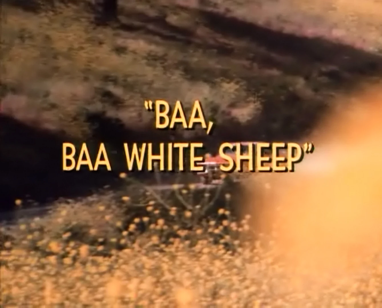 Baa, Baa White Sheep | The Dukes of Hazzard Wiki | Fandom
