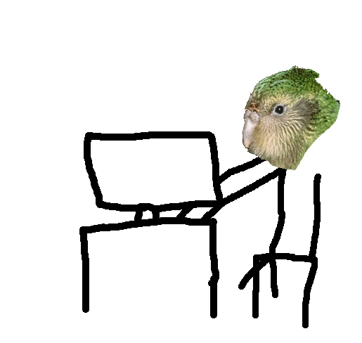 Image - Kakapo.gif | Weegeepedia | FANDOM powered by Wikia