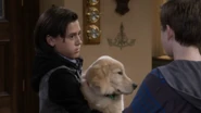 Bobby Popko Season 1 Image Gallery | Fuller House Wikia | Fandom