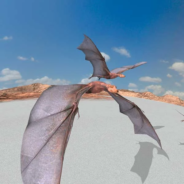 Image - Deathgleaner-600px.jpg | The future is wild wiki | FANDOM ...