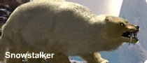 Snowstalker | The future is wild wiki | FANDOM powered by Wikia