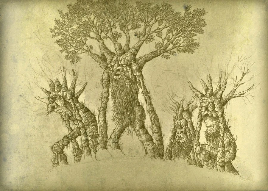 Ents | J.R.R.Tolkien Legendarium Wiki | Fandom