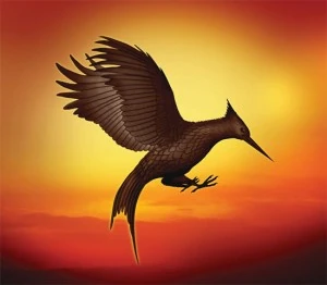 Sinsajo (ave) | Wiki The Hunger Games | FANDOM powered by Wikia
