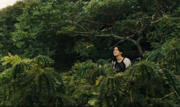 Imagen - Katniss sobre los arboles en la arena de los 75° Juegos del ...