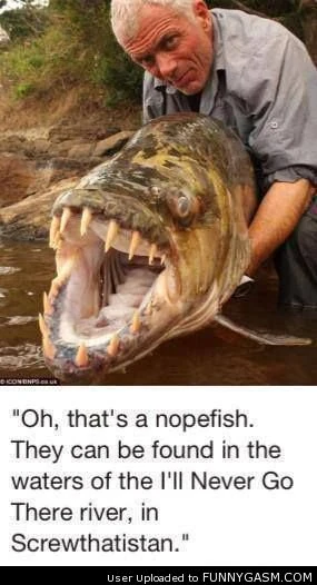 Image - Thats-A-Nope-Fish.jpg | The Hunger Games Wiki | FANDOM powered ...