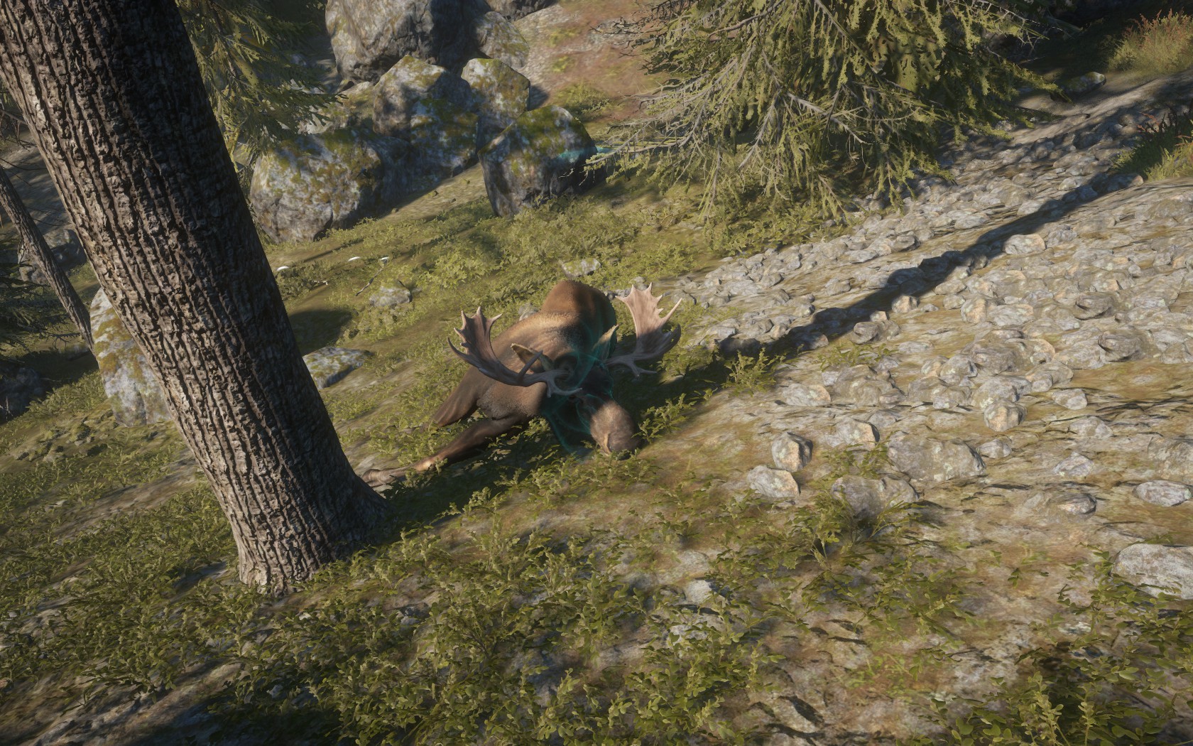 Elch Thehunter Call Of The Wild Wiki Fandom