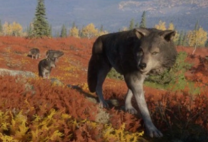 Grauwolf | TheHunter Call of the Wild Wiki | Fandom