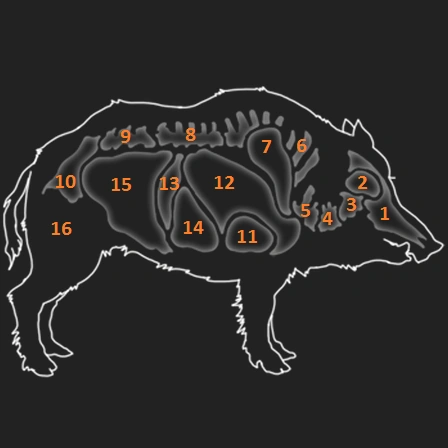 Wildschwein | TheHunter Wikia | Fandom