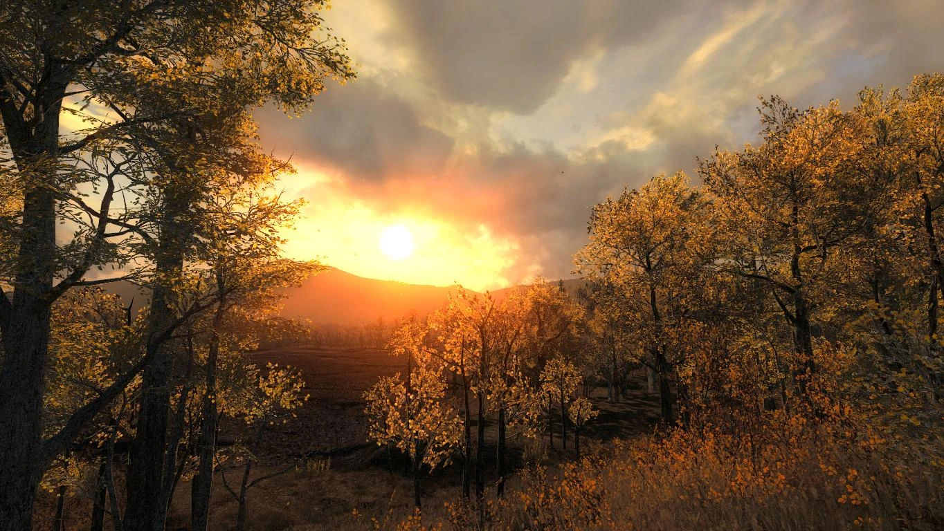 Hirschfelden | TheHunter Wikia | FANDOM powered by Wikia