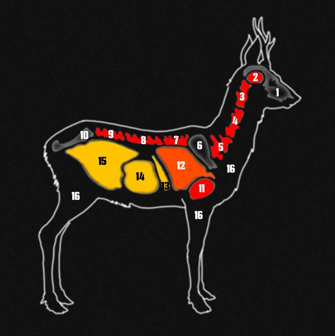 Reh | TheHunter Wikia | FANDOM powered by Wikia