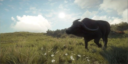 Water Buffalo | TheHunter: Call of the Wild Wiki | Fandom