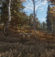 Layton Lake District | TheHunter: Call of the Wild Wiki | Fandom