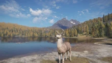 Layton Lake District | TheHunter: Call of the Wild Wiki | Fandom