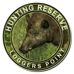 Logger's Point | The Hunter Wikia | Fandom