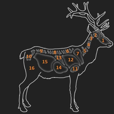 Roosevelt Elk | The Hunter Wikia | FANDOM powered by Wikia