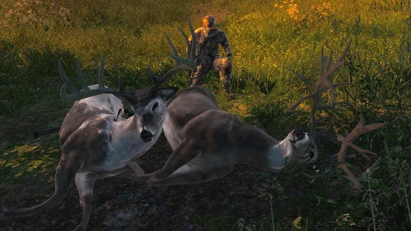 Super Rare Animal Gallery | The Hunter Wikia | Fandom