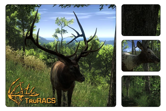 Roosevelt Elk | The Hunter Wikia | FANDOM powered by Wikia