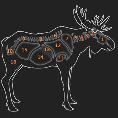 Moose | The Hunter Wikia | FANDOM powered by Wikia