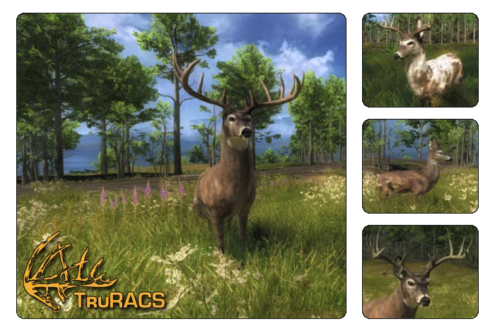 Whitetail Deer The Hunter Wikia Fandom Powered By Wikia