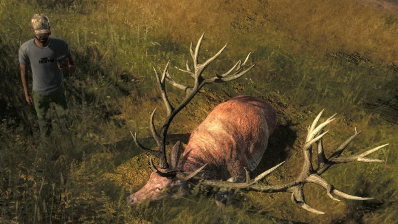 Hunting Tactics Red Deer The Hunter Wikia Fandom Powered By Wikia