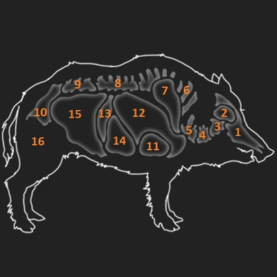 Wild Boar | The Hunter Wikia | FANDOM powered by Wikia