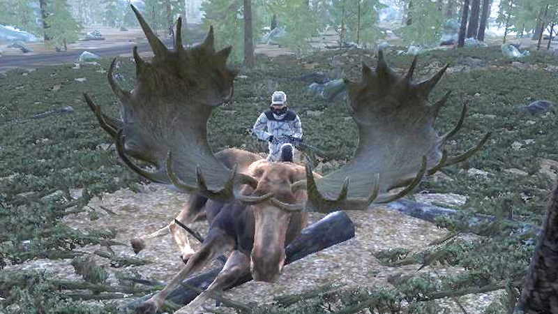 Hunting Tactics Moose | The Hunter Wikia | Fandom
