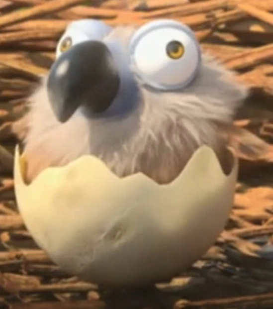 Touco | The Jungle Bunch Wiki | Fandom