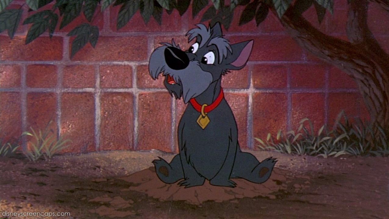 Image Tramp 961 The Lady And The Tramp