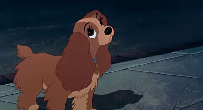 The Lady And The Tramp Wiki Fandom Powered By Wikia