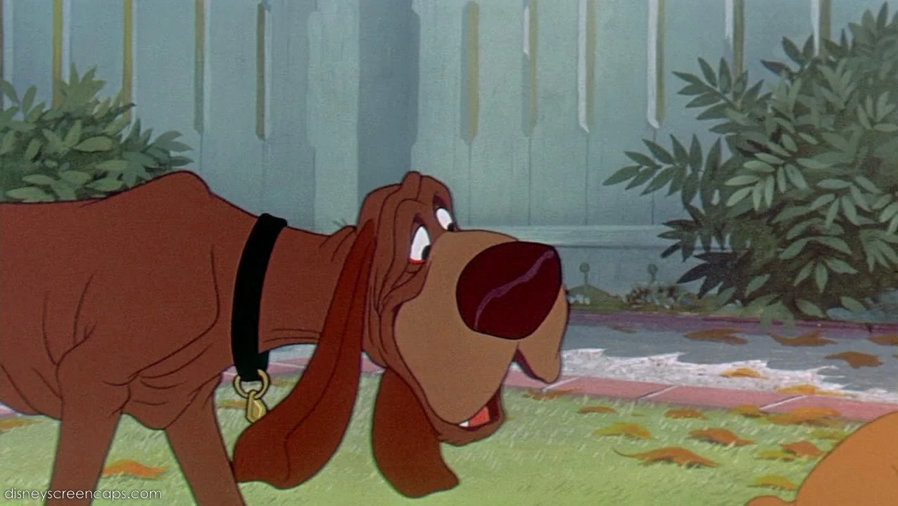 Bloodhound | The lady and the tramp Wiki | FANDOM powered by Wikia