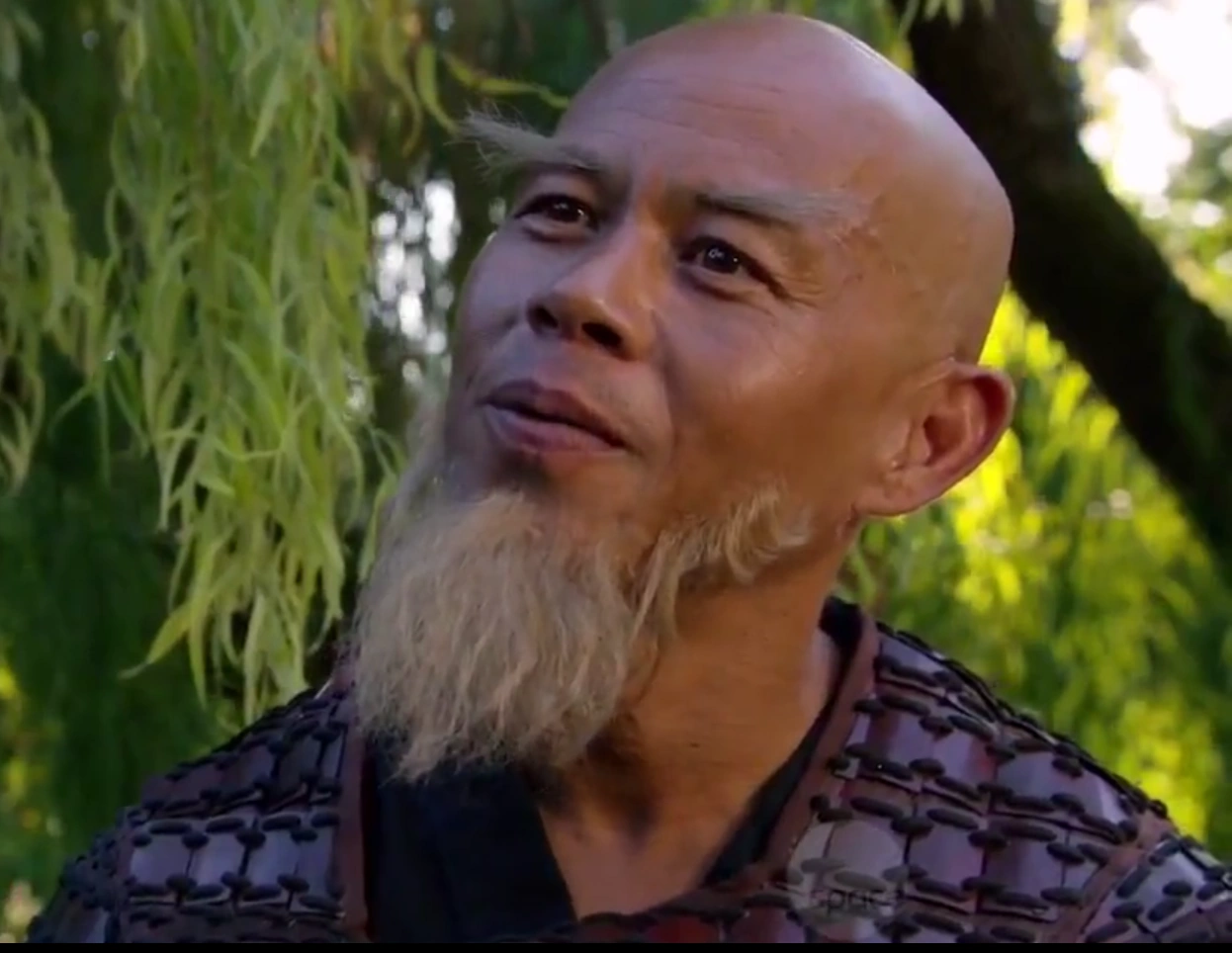 Monkey King | The Library | Fandom