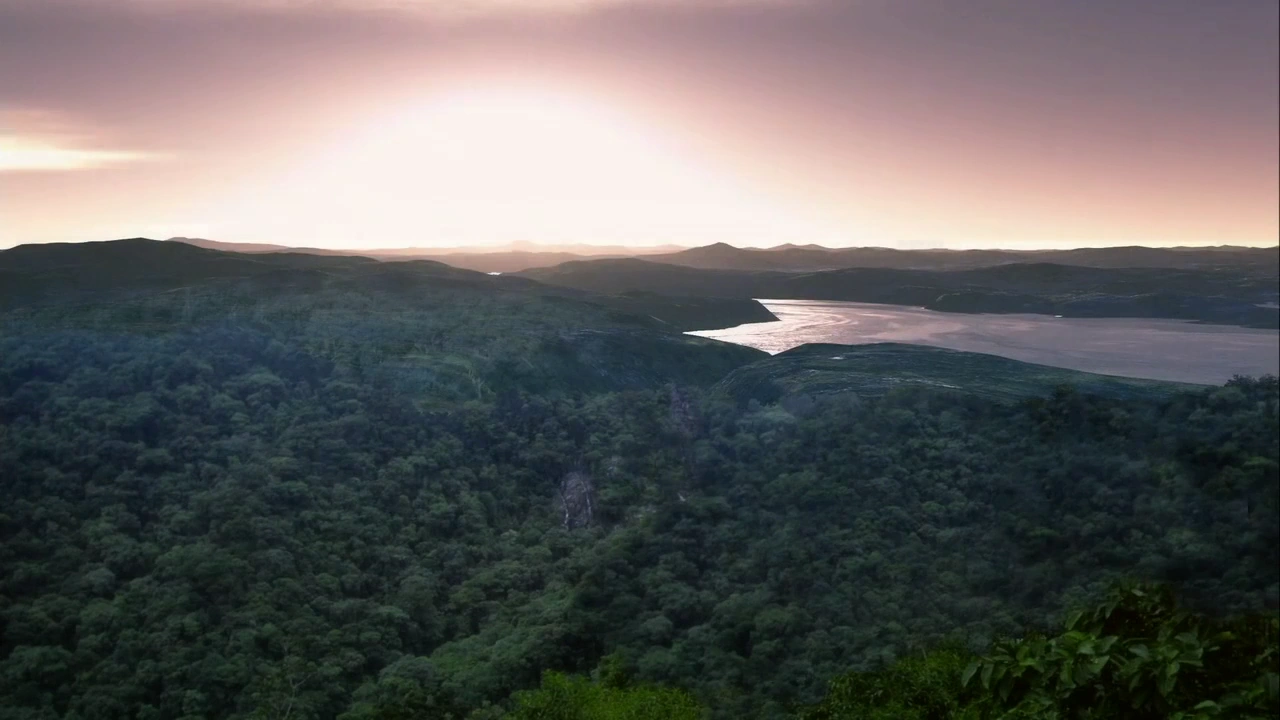 Amazon rainforest | The Library | Fandom