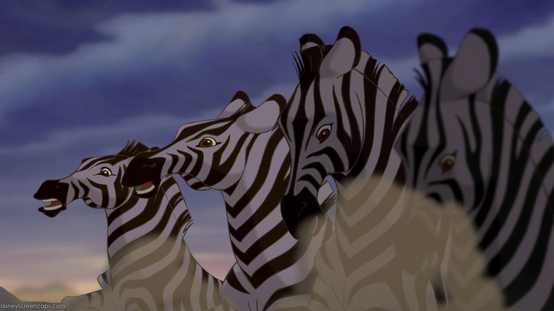 Изображение - Zebra.jpg | Король Лев вики | FANDOM powered by Wikia