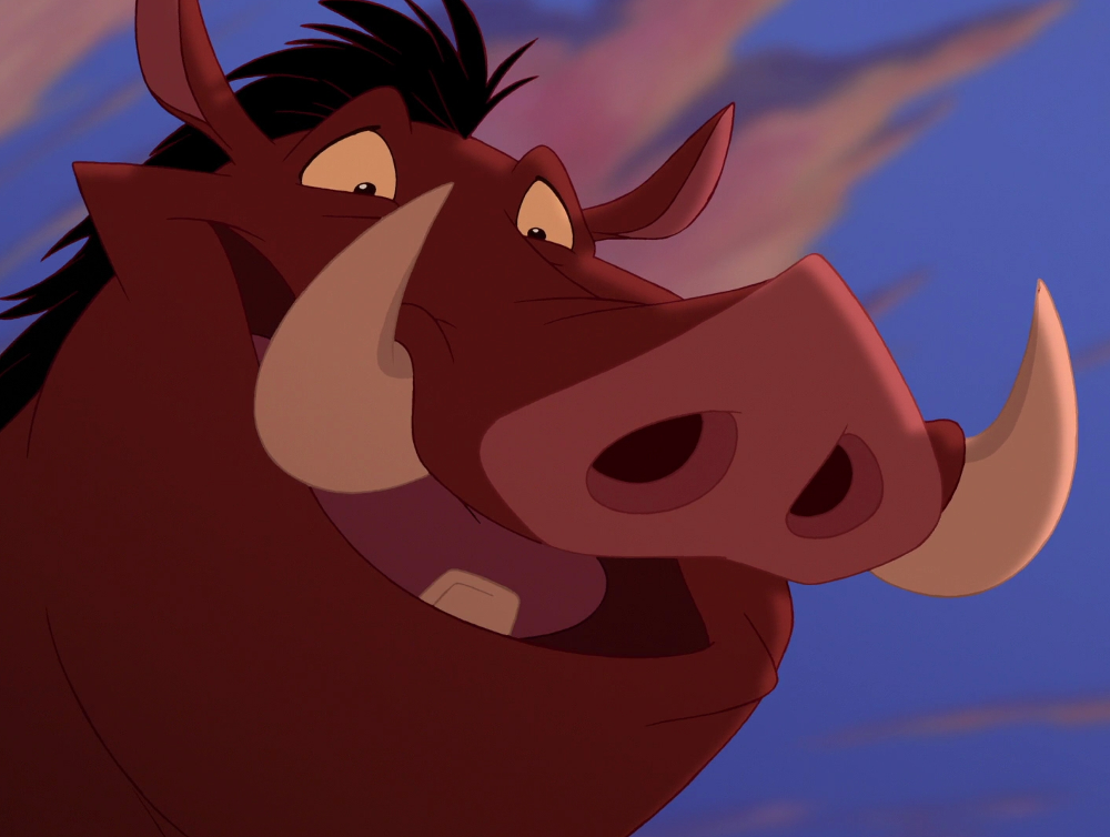 Pumbaa | The Lion King's Timon & Pumbaa Wiki | FANDOM powered by Wikia