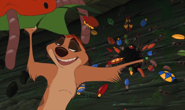 Timon The Lion Kings Timon And Pumbaa Wiki Fandom Powered By Wikia
