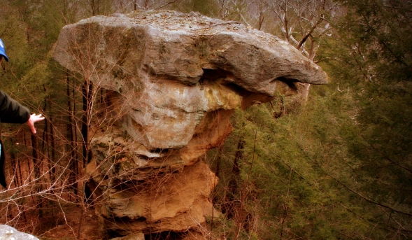 Devil's Tea Tables | TheMothMan Wikia | Fandom