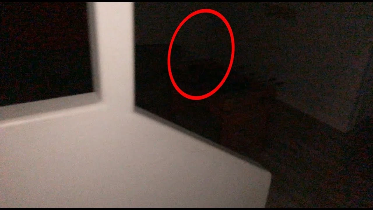 Real ghost caught on tape (REAL) | TheOdd1Sout Wiki | Fandom