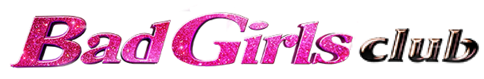 Category:Seasons | The Official Bad Girls Club Wiki | Fandom