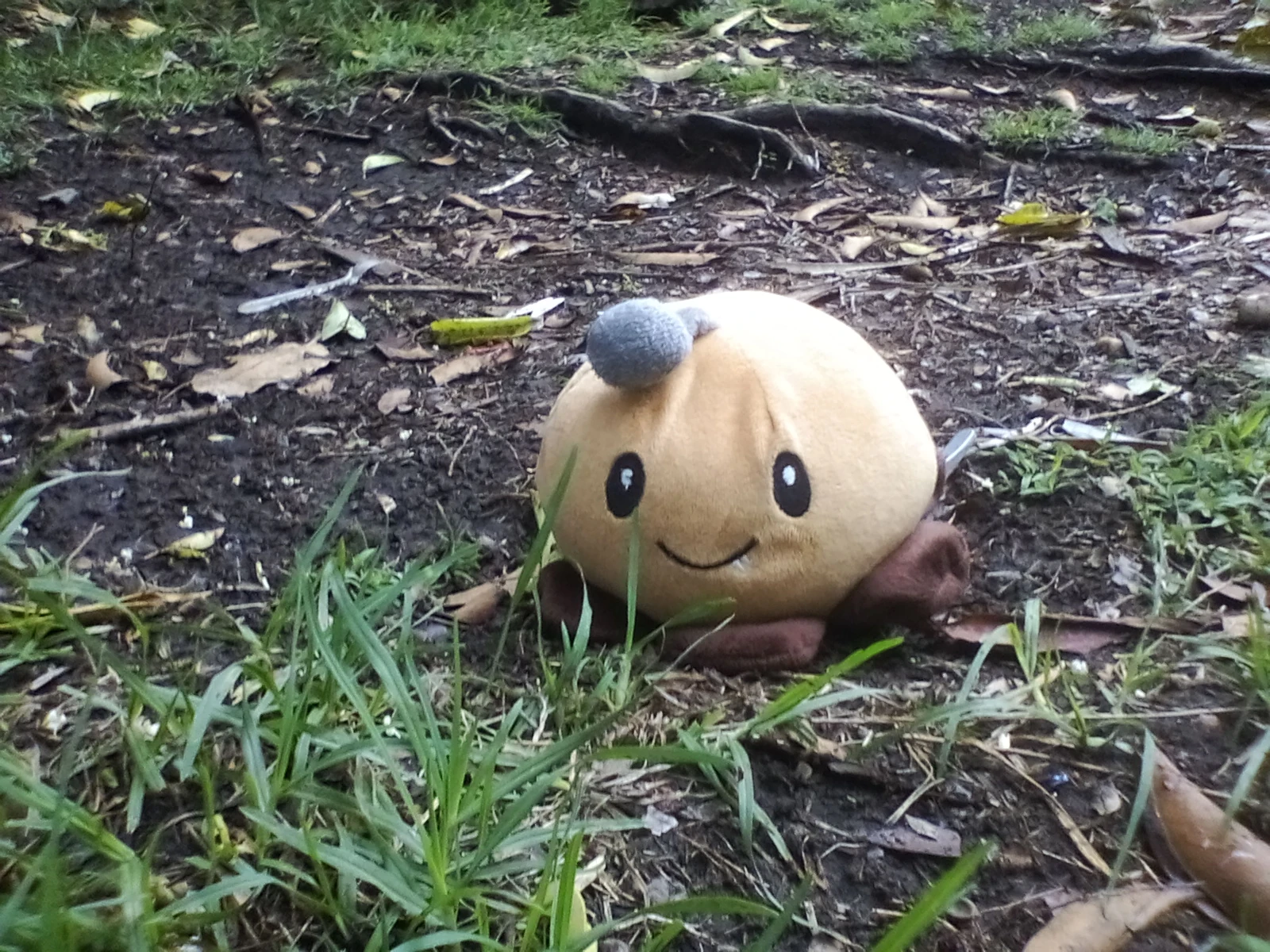 Potato Mine | The Patch Wiki | Fandom