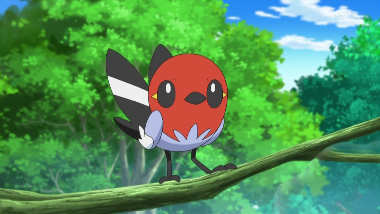 Fletchling | THE POKEMON SHOW Wiki | FANDOM powered by Wikia