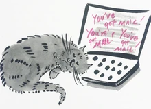 Fat Louie | The Princess Diaries Wiki | Fandom