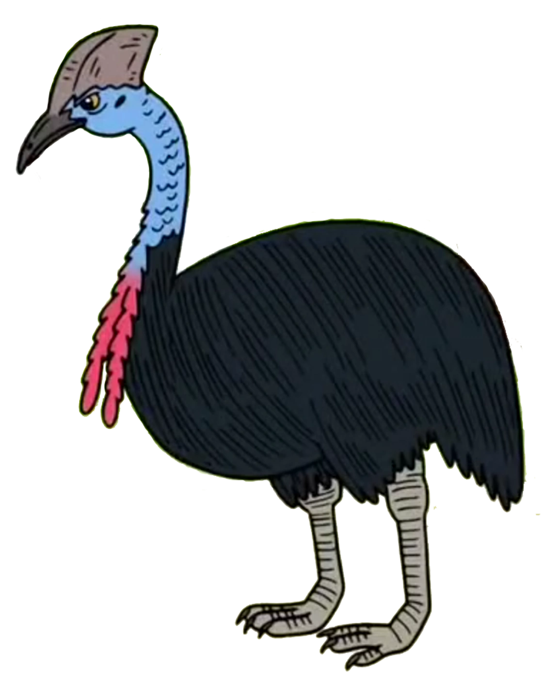 Cassowary | Regular Show Wiki | Fandom