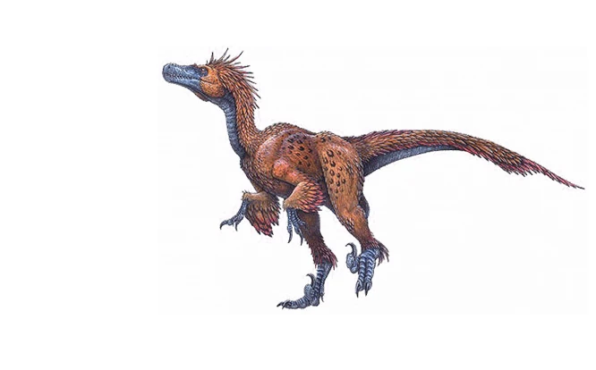 Paleotherian | Therianthropy | Fandom