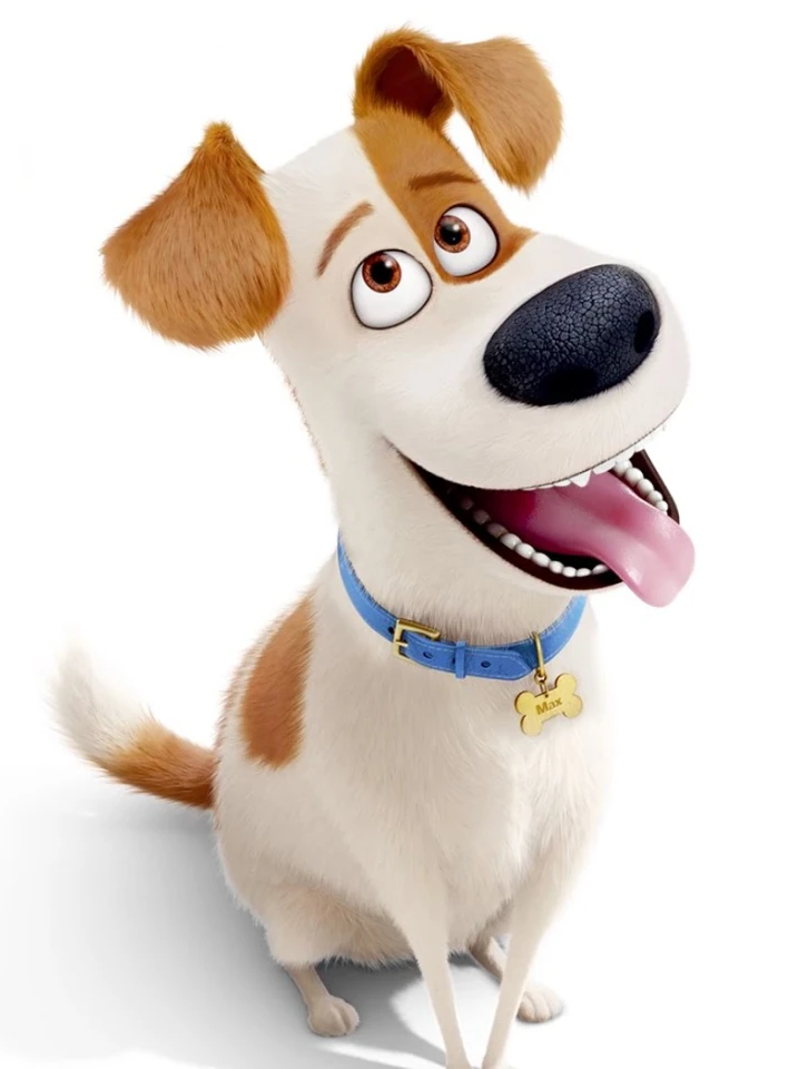 Макс | Тайная жизнь домашних животных Вики | Fandom
