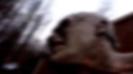 The Rake | The Slender Man Wiki | Fandom