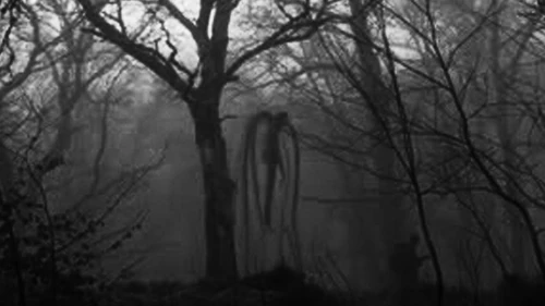 Slender Man's Tentacles: Skeletal Support | Fandom