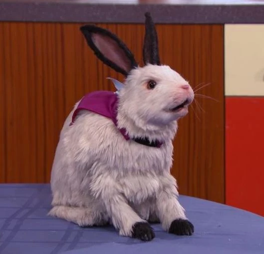 Image - Dr. Colosso - Bunny.jpg | The Thundermans Wiki | FANDOM powered ...